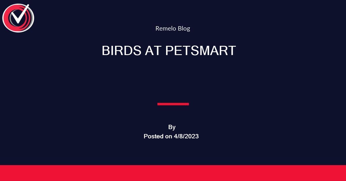 Affordable Birds at PetSmart: Healthy and Cared For - TheBudgieBlog